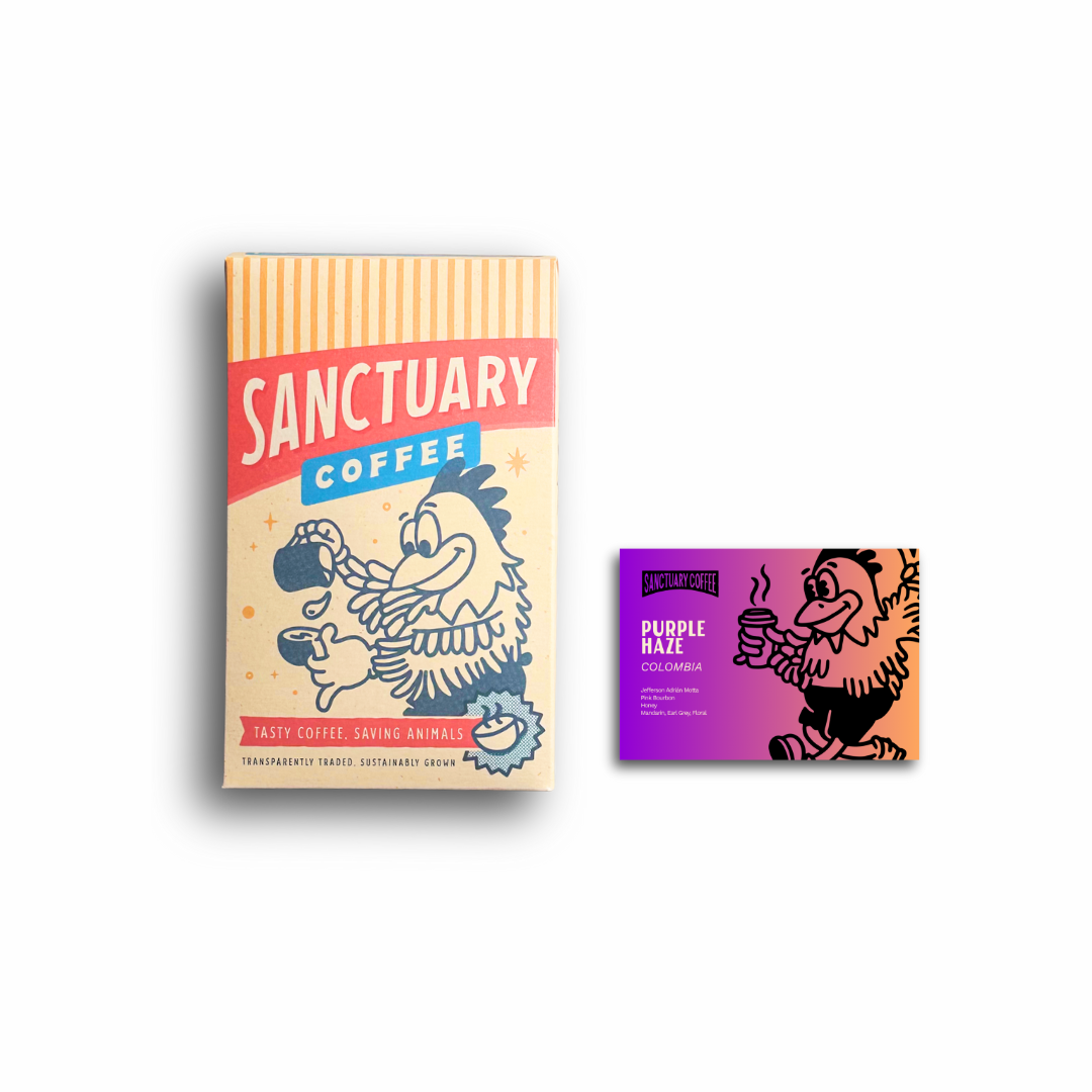 Purple Haze | Whole Beans & Ground Coffee - Sanctuary Coffee